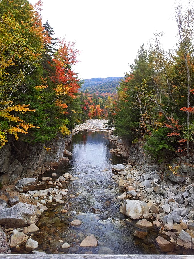 The Ellis River cuts through Jackson's autumn splendor creating nature's perfect soundtrack – who needs meditation apps when you've got this?
