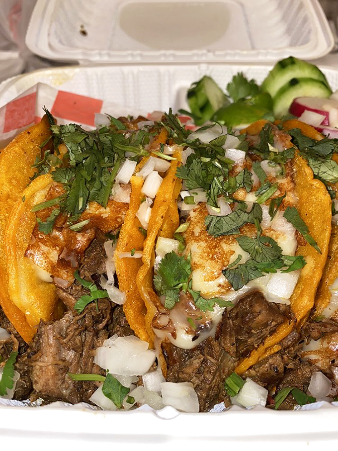 These tacos don't need fancy plating—just fresh cilantro, diced onion, and perfectly seasoned meat. The lime wedge isn't a garnish, it's essential equipment.