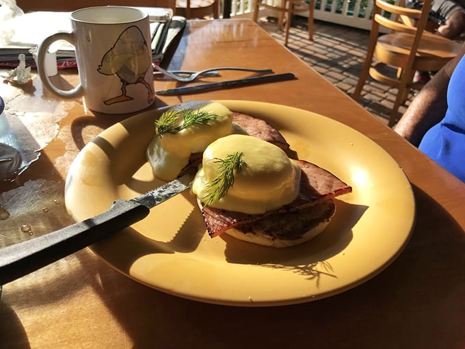 Eggs Benedict with a sprinkle of fresh dill – proof that sometimes the classics don't need reinvention, just perfect execution.