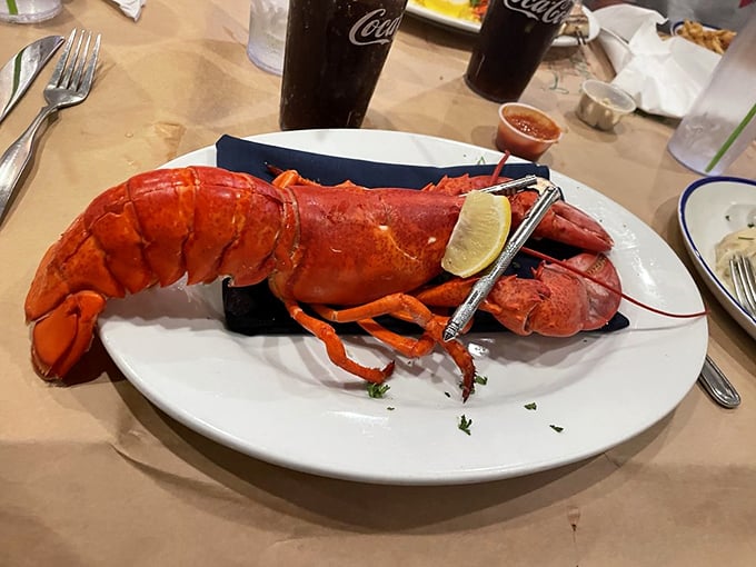 This lobster isn't just a meal, it's an event. The crustacean equivalent of showing up to dinner in a bright red sports car.