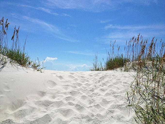 These sea oats aren't just for show – they're the island's natural defenders, anchoring dunes against erosion while creating a serene, whisper-filled soundtrack.