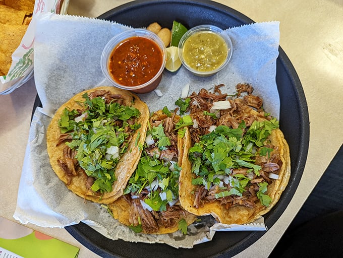 Street tacos done right: simple, authentic, and topped with nothing but the essentials. That roasted jalapeño isn't just garnish—it's a dare wrapped in a challenge.