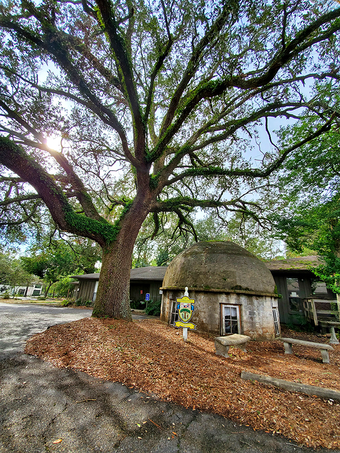 Beneath this majestic oak sits Tolstoy Park's curious dome, where a tuberculosis patient once sought healing and instead found unexpected wisdom among the leaves.
