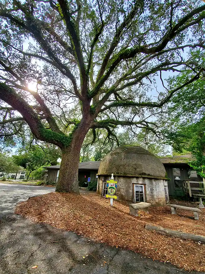 Beneath this majestic oak sits Tolstoy Park's curious dome, where a tuberculosis patient once sought healing and instead found unexpected wisdom among the leaves.