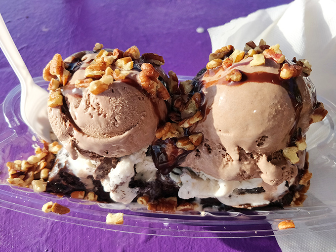 Two scoops nestled in chocolate sauce and nuts—proof that sometimes the best relationships are the simplest ones, especially when walnuts are involved.