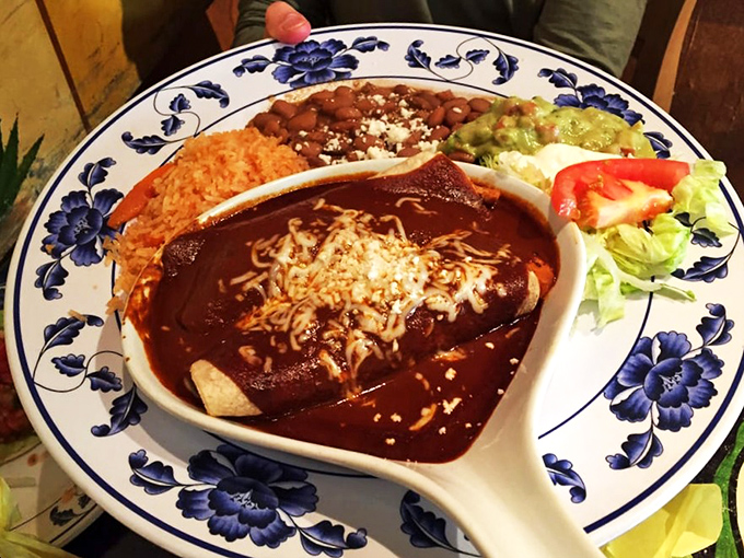 The mole sauce on these enchiladas contains more complexity than most Netflix dramas. That sprinkle of cheese is the perfect supporting actor.