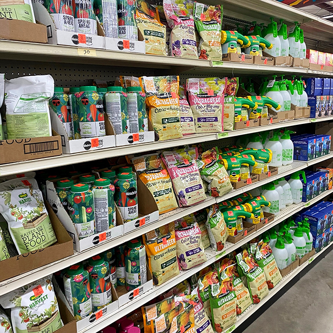 Garden enthusiasts rejoice—Ollie's plant food selection rivals the snack options at a movie theater, but with significantly better results for your hydrangeas.