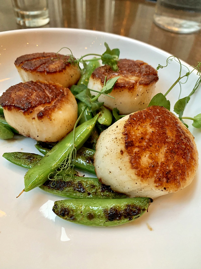 Four perfectly seared scallops standing guard over charred snow peas. It's like the seafood equivalent of finding a waterfall in the desert—unexpected and absolutely worth the journey.