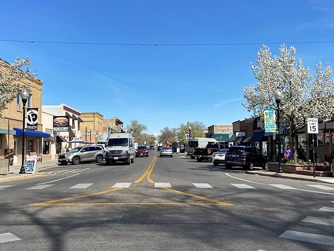 Fruita's tree-lined streets and autumn colors create a postcard-perfect setting that's surprisingly gentle on retirement budgets.