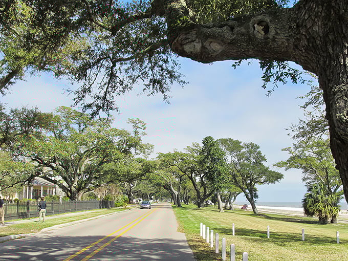 In Pass Christian, even the trees seem to whisper "slow down and save money." Beach living without the beach prices.