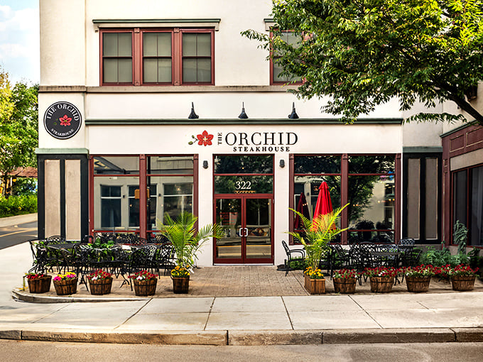 The Orchid's elegant façade brings a touch of international flair to Bethlehem's dining scene. East meets steak in the most delicious way.