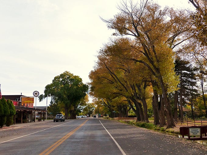 Torrey's tree-lined main street offers shade and stories in equal measure. Fall colors here are nature's way of showing off.