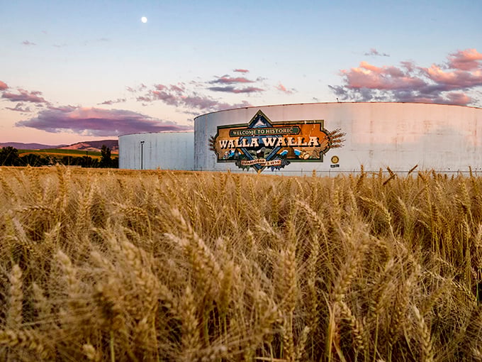 Walla Walla welcomes you with golden wheat fields and a sign as warm as the community itself—affordable small-town living at its finest.