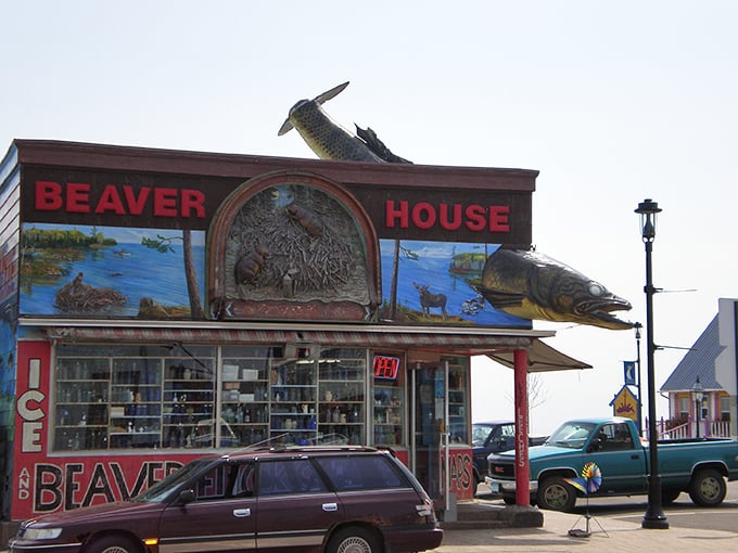 The Beaver House in Grand Marais might be the only shop where a giant walleye bursting through the roof seems perfectly normal.