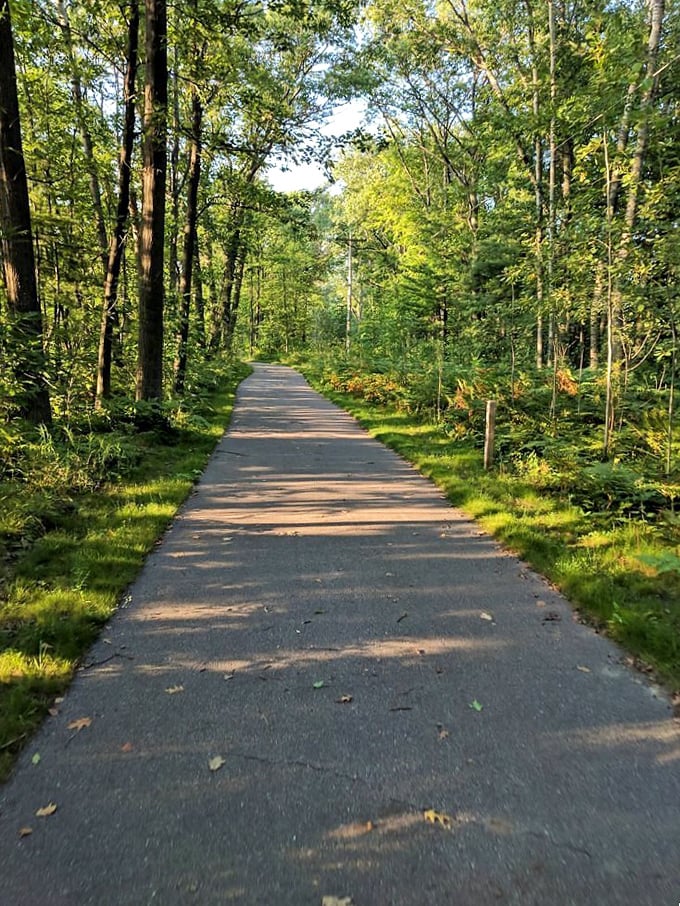 The forest trails around Tawas offer peaceful solitude where the only traffic jam involves squirrels and chipmunks.