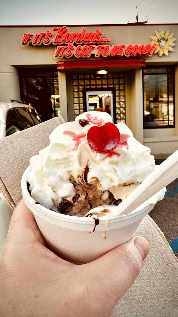 Whipped cream mountains rising from chocolate valleys—this sundae has better topography than most hiking trails I've visited.