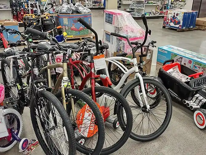 Bicycles lined up like hopeful contestants on a game show, each one waiting for its forever home at a fraction of retail price.