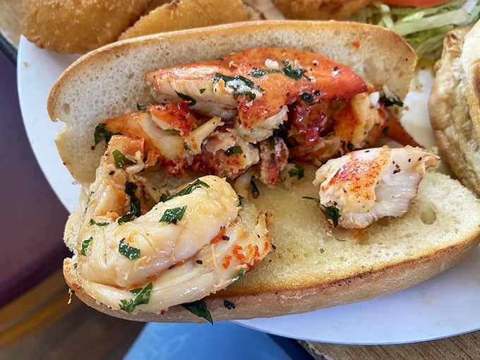 Lobster roll perfection: sweet meat, minimal fuss, maximum flavor. This sandwich doesn't need fancy tricks—it just needs your undivided attention.