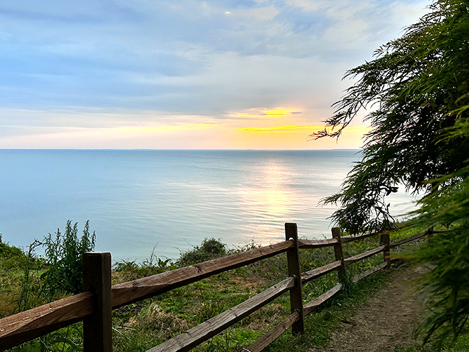 Sunset chasers, take note—this wooden fence doesn't just prevent falls, it frames nature's nightly masterpiece better than any museum could.