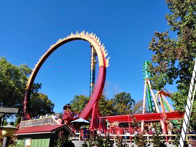 This fiery red loop defies both gravity and common sense, yet somehow convinces thousands of rational humans to willingly ride it daily.