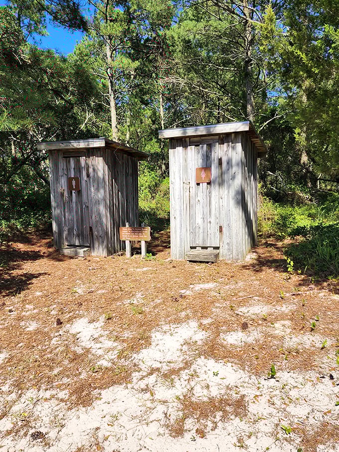 Luxury accommodations, False Cape style—where the bathroom view changes with the seasons and ventilation is never an issue.