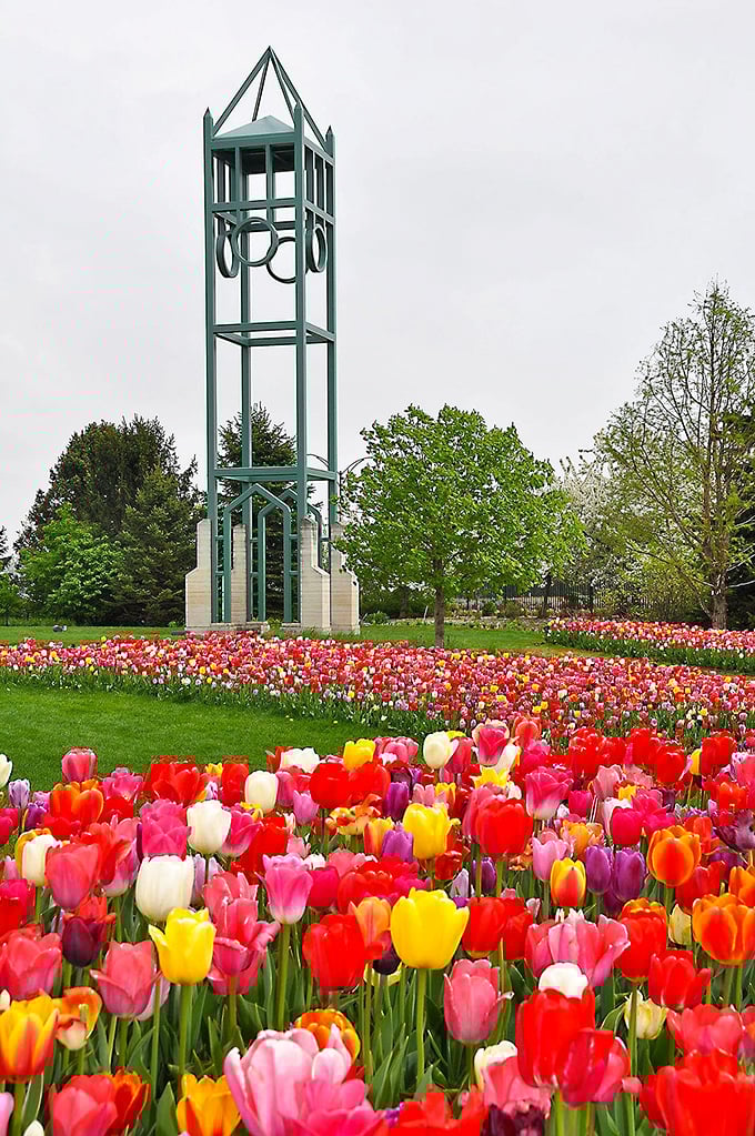 Ames blooms with possibilities where your Social Security check grows like prize-winning garden tomatoes in summer.