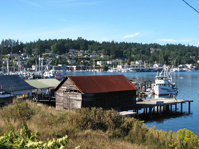 Gig Harbor’s marinas are like a painter’s palette – boats in every color framed by tall, whispering evergreens.