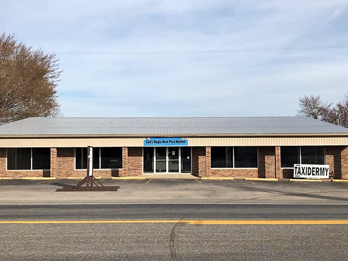 Don't let the simple exterior fool you – Lisa's Eagle Nest is where ordinary shopping trips transform into extraordinary discoveries.