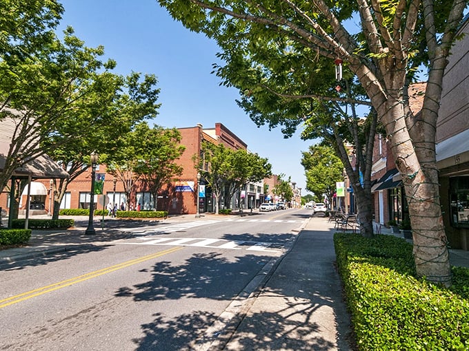 Tree-lined streets frame Rock Hill's walkable downtown – where Social Security goes further than your morning constitutional.