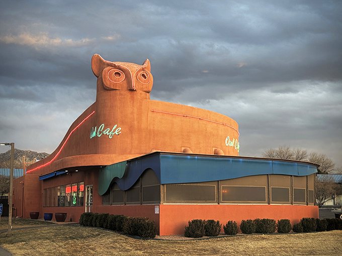 This isn't just a building – it's a landmark with pancakes. The Owl Cafe proves great food can come in quirky packages.