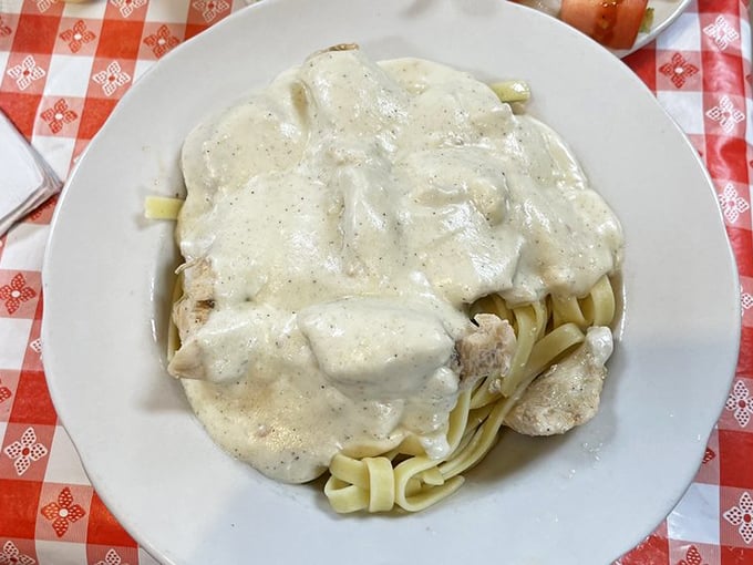 Fettuccine swimming in creamy alfredo with tender chicken—the kind of dish that makes you want to write thank-you notes to dairy cows everywhere.