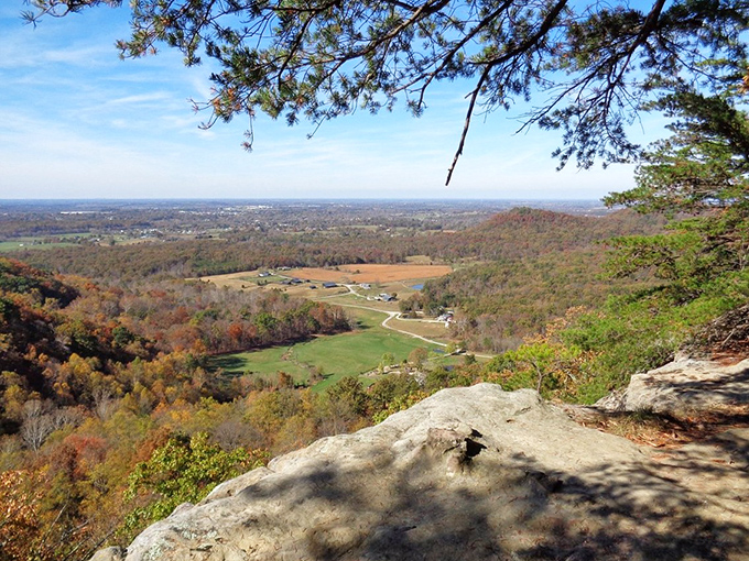 Standing at East Pinnacle feels like discovering a secret balcony overlooking Kentucky's finest landscape theater – no ticket required!