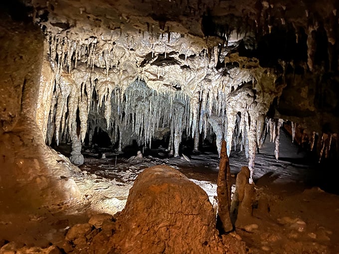 These delicate stalactites took thousands of years to form, proving that sometimes the most beautiful art requires the most patience.
