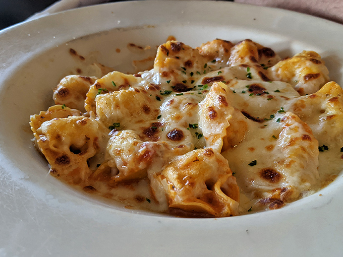 Cheese-filled pasta pockets swimming in cream sauce—like little treasure chests where the treasure is more cheese. Dieting starts tomorrow.