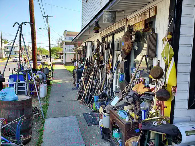 At Yost's, one person's castoffs become another's discoveries—a delightful chaos of tools, treasures, and trinkets waiting for their second chance at usefulness.