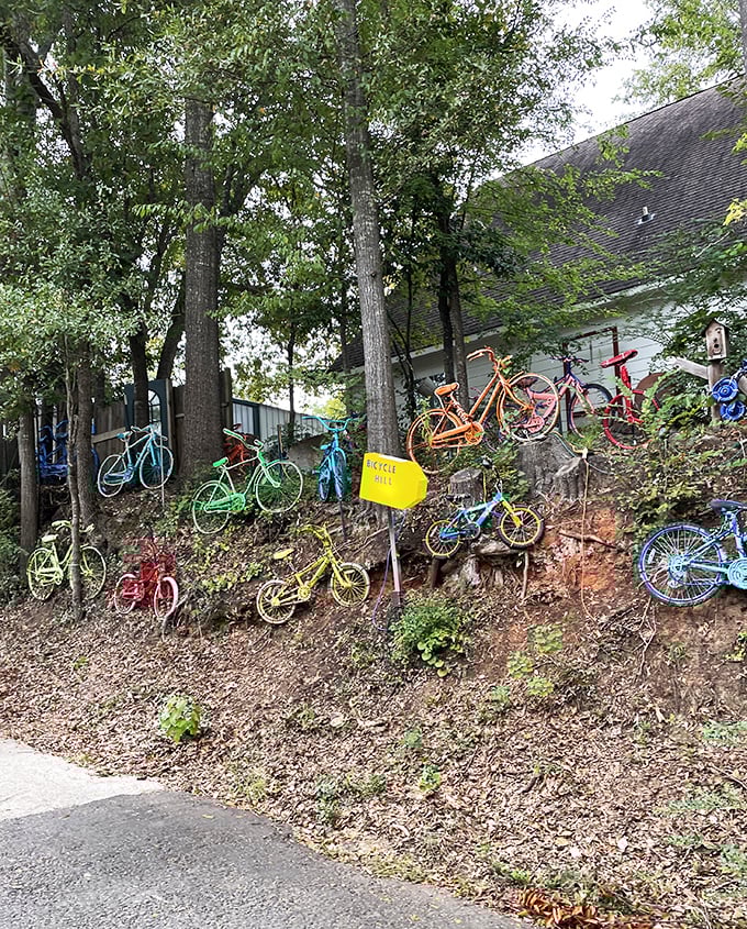 Jefferson's bicycle hill isn't just art—it's a colorful gravity-defying collection that proves one person's old Schwinn is another's roadside masterpiece.