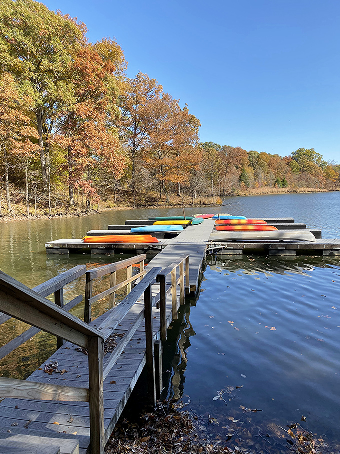 Fall's golden touch turns the boat dock into a launching point for both kayaks and daydreams about simpler times.
