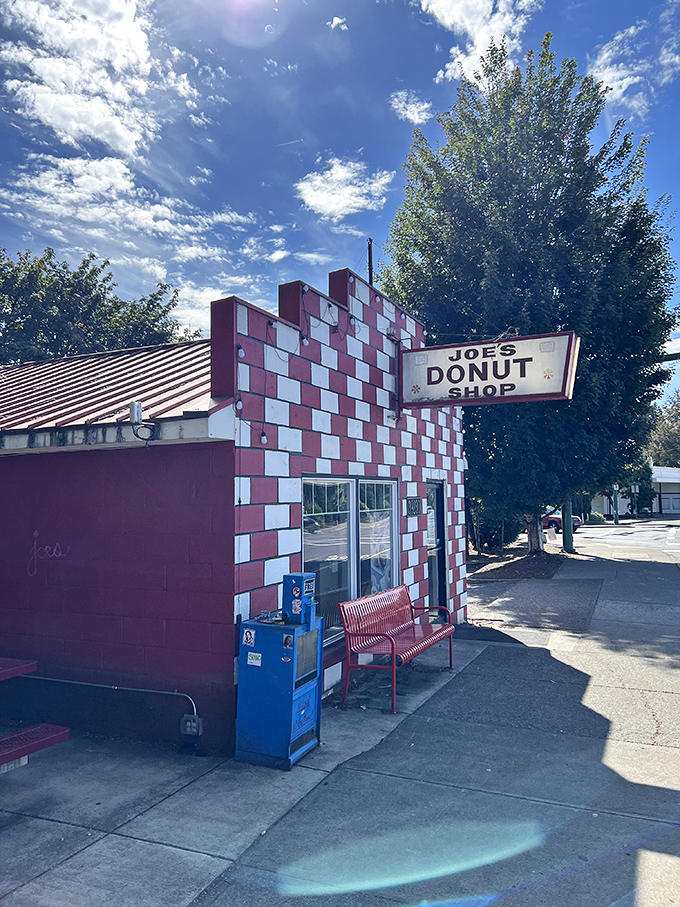 That "OPEN 24 HOURS" sign isn't just information—it's a beautiful promise that donut cravings need never go unsatisfied.