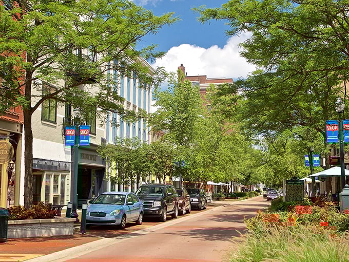 The blue bridge in Kalamazoo connects more than just neighborhoods—it links affordable living with big-city amenities.