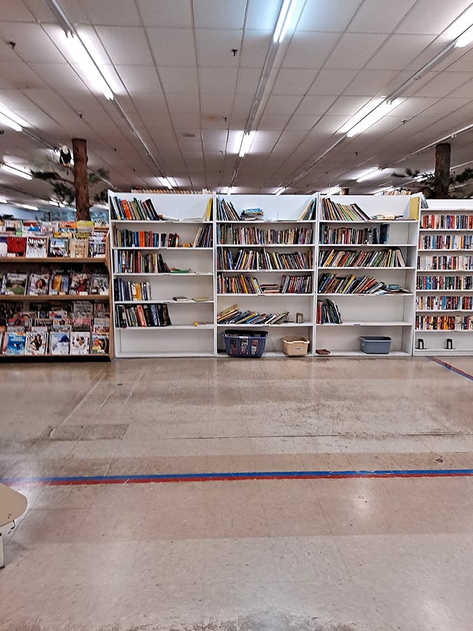 Bookworms beware—you could lose hours in these aisles. From bestsellers to obscure titles, the literary selection rivals small-town libraries in both breadth and organization.