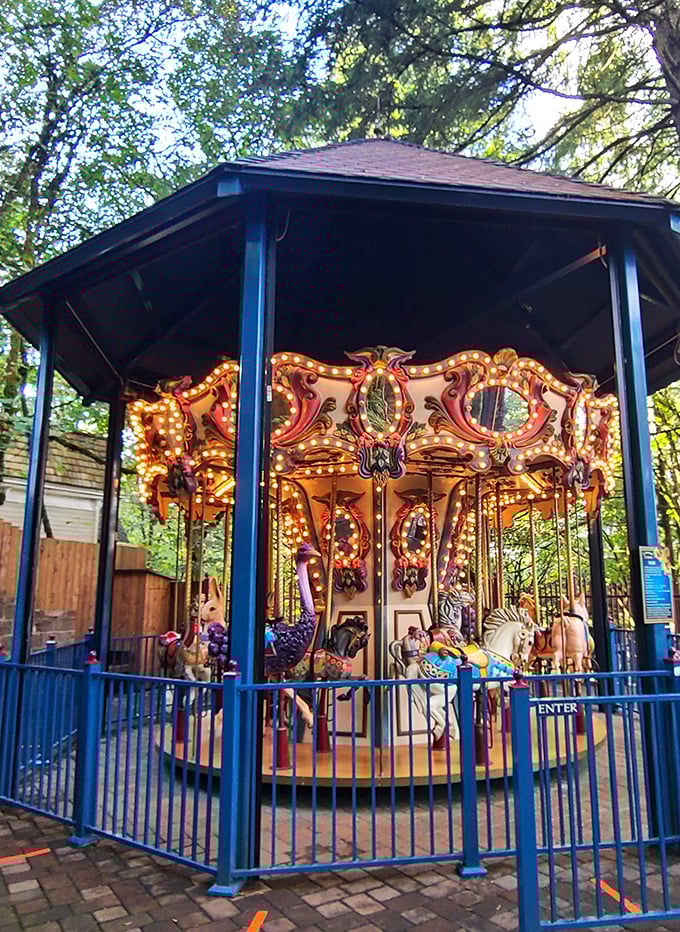 The vintage carousel spins memories for multiple generations. Those painted ponies have carried grandparents, parents, and now wide-eyed children on magical journeys.