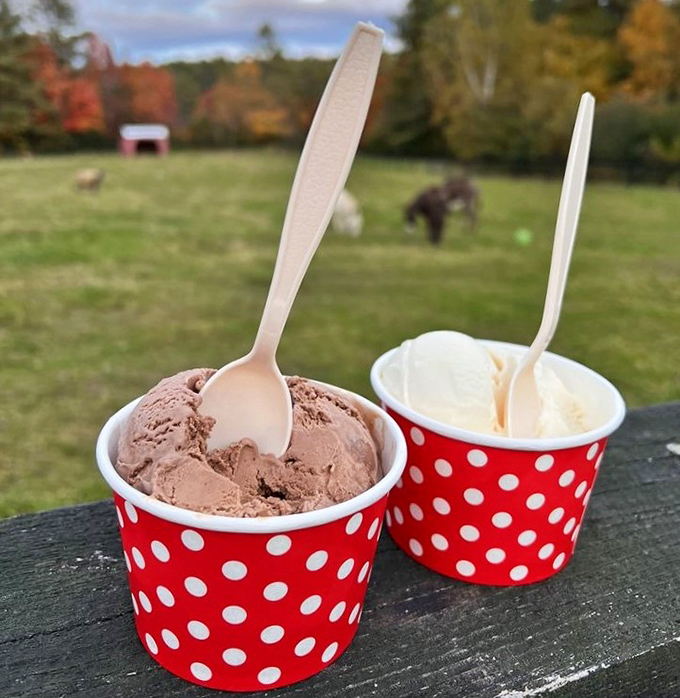 Vanilla ice cream and waffle cone: the Fred Astaire and Ginger Rogers of dairy treats—timeless, elegant, and somehow never going out of style.