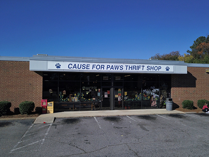 Cause for Paws combines pet rescue with retail therapy. The colorful window displays change with the seasons, always showcasing creative possibilities.