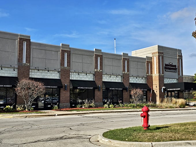 Mitchell's brick exterior might be in a shopping center, but inside awaits seafood that transports you straight to the coast.