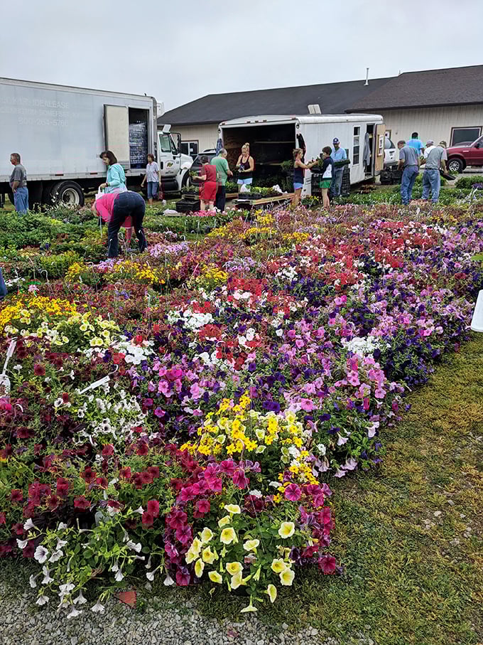 A sea of blooms awaits green-thumbed shoppers. At White's Farm, the plants are as colorful as the characters who sell them!