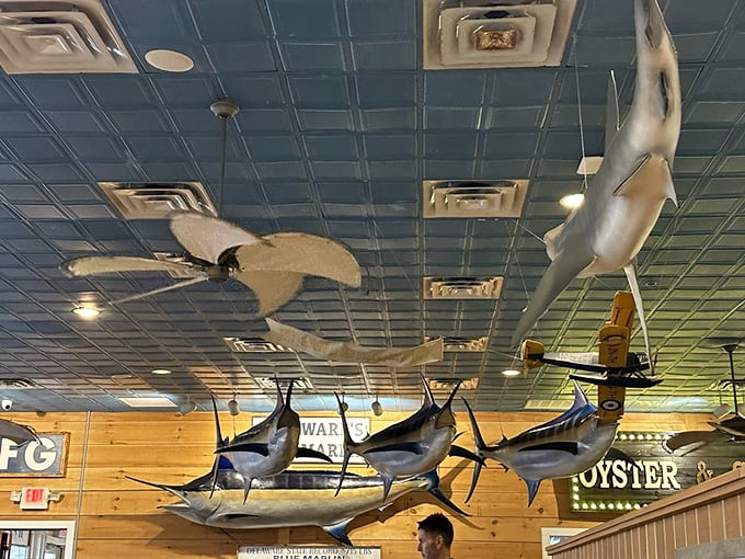 The ceiling where marine life seems suspended in mid-swim. Like dining beneath the ocean without needing scuba certification.