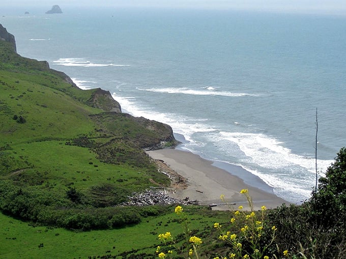 The Lost Coast isn't lost at all—it's right here waiting to be discovered. These dramatic cliffs and pristine beaches offer California coastline without the crowds.