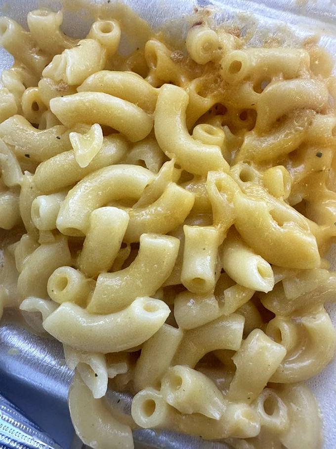 Mac and cheese so creamy and perfectly cooked it deserves its own fan club. Forget the boxed stuff—this is the real deal.