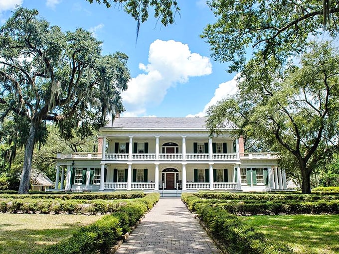 Rosedown's classical symmetry and manicured approach whisper of bygone elegance. This isn't just a house—it's Southern history in architectural form.