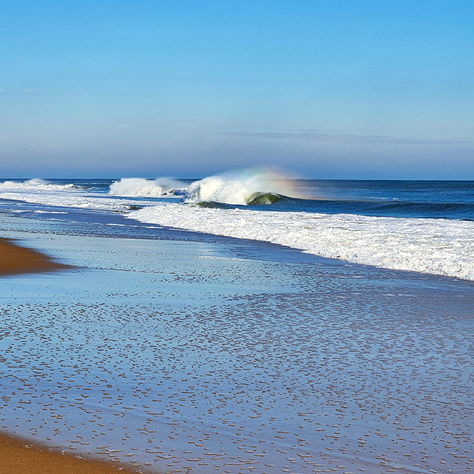 The Atlantic showing off its morning mood. That perfect wave curl contains more poetry than most literature classes—and it's different every day.